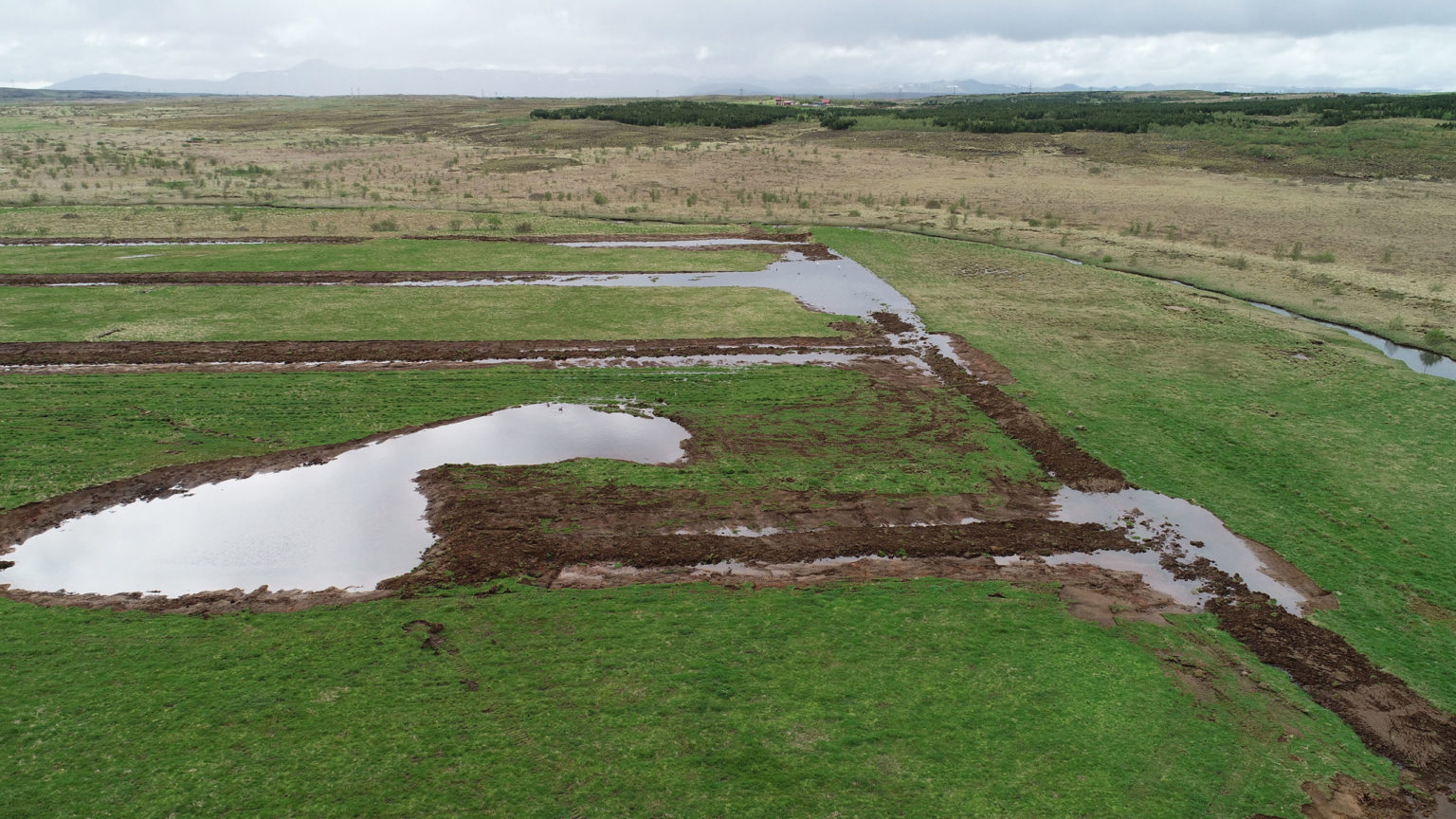 Reclamation of Wetlands I Services | www.verkis.com