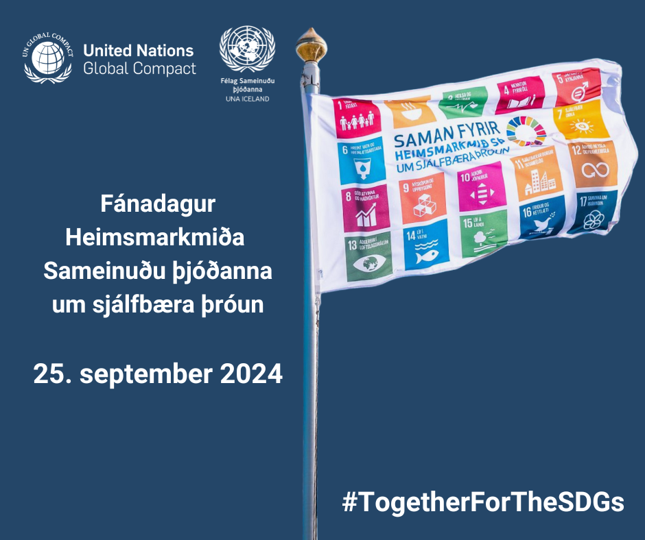 Verkís Participates in UN Sustainable Development Goals Flag Day | www ...